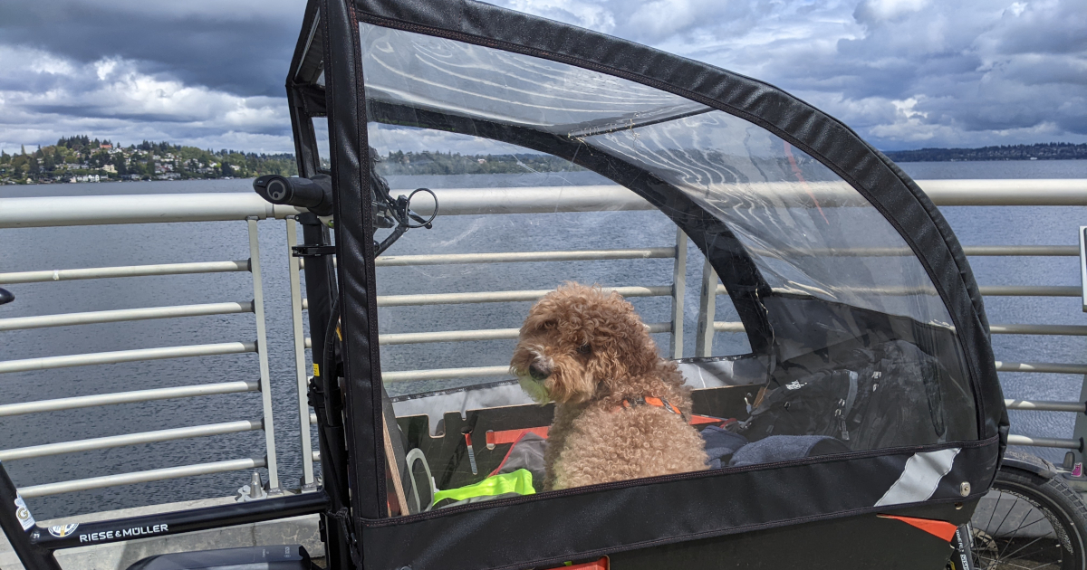 Ride to Marymoor with Rhett – David Alber